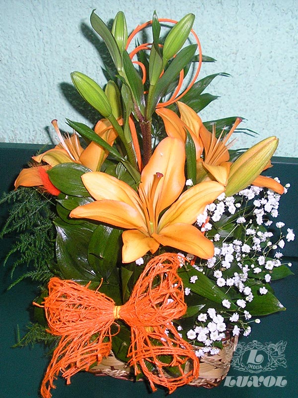 Korpe cveća | 101 ruža