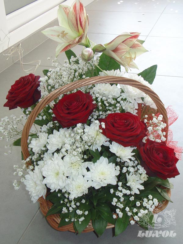 Cvećara Luxol Inđija