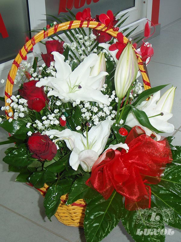 Cvećara Luxol Inđija